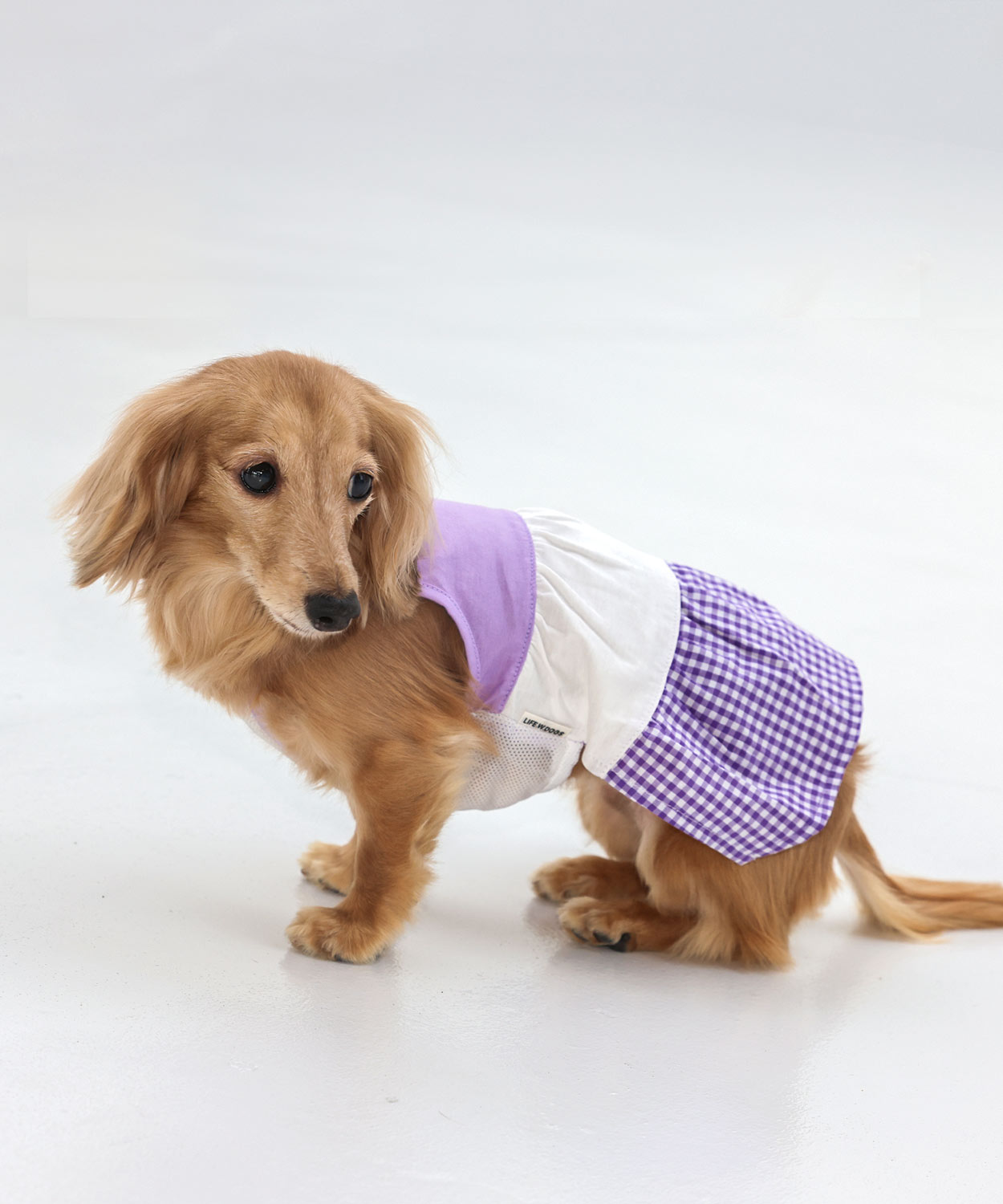 犬と生活 クールトリコロールキャミ | 接触冷感生地を使用した犬服。体を締めつけないリラックスウェア、女の子用の春夏ワンピース